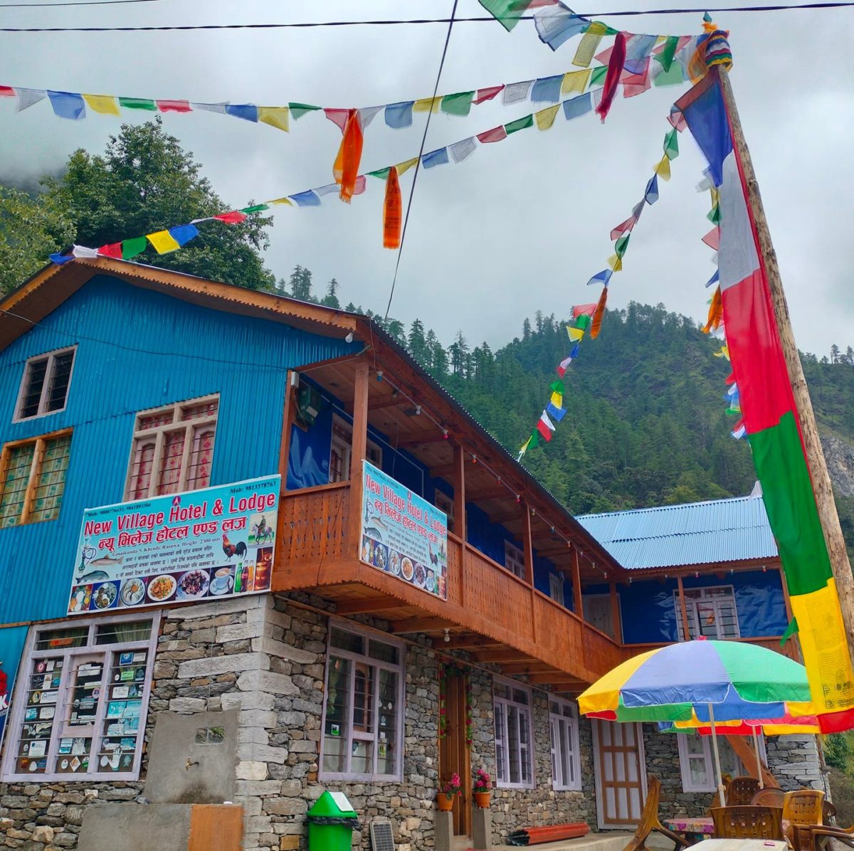 Teahouse Treks: Of Himalayan Hospitality and Tranquility - Tea Journey